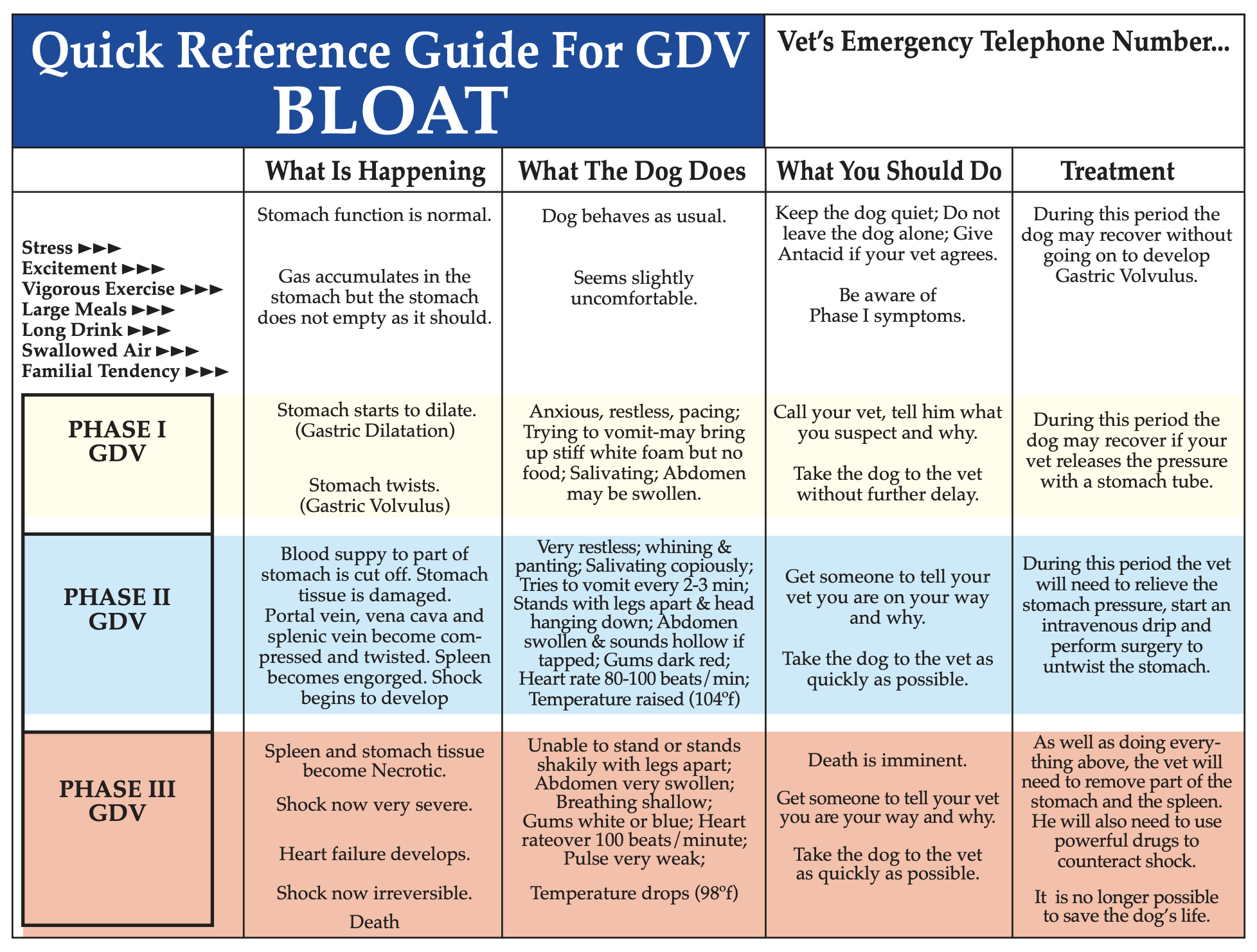 Signs of Bloat in Great Danes - Dane Good Blog